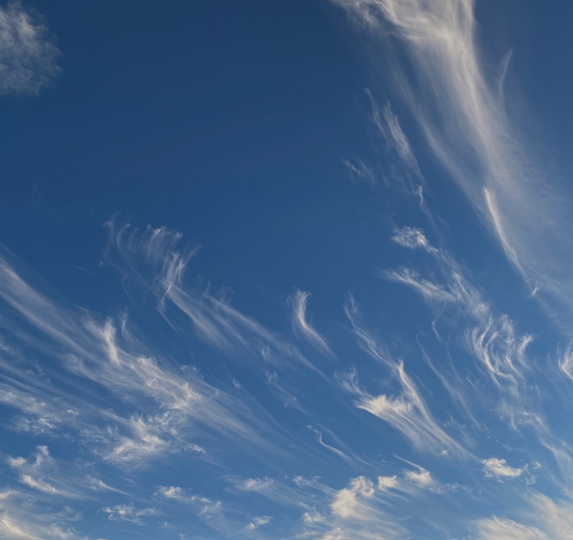 Mares’ tales and Mackerel scales make tall ships take in their sails ...